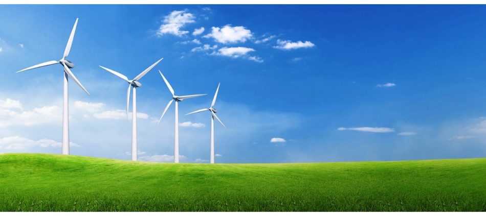 CEBA Member Highlight: McDonald's - CEBA