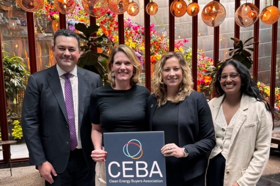 Climate Week NYC 2024: A Thriving Landscape for Clean Energy - CEBA